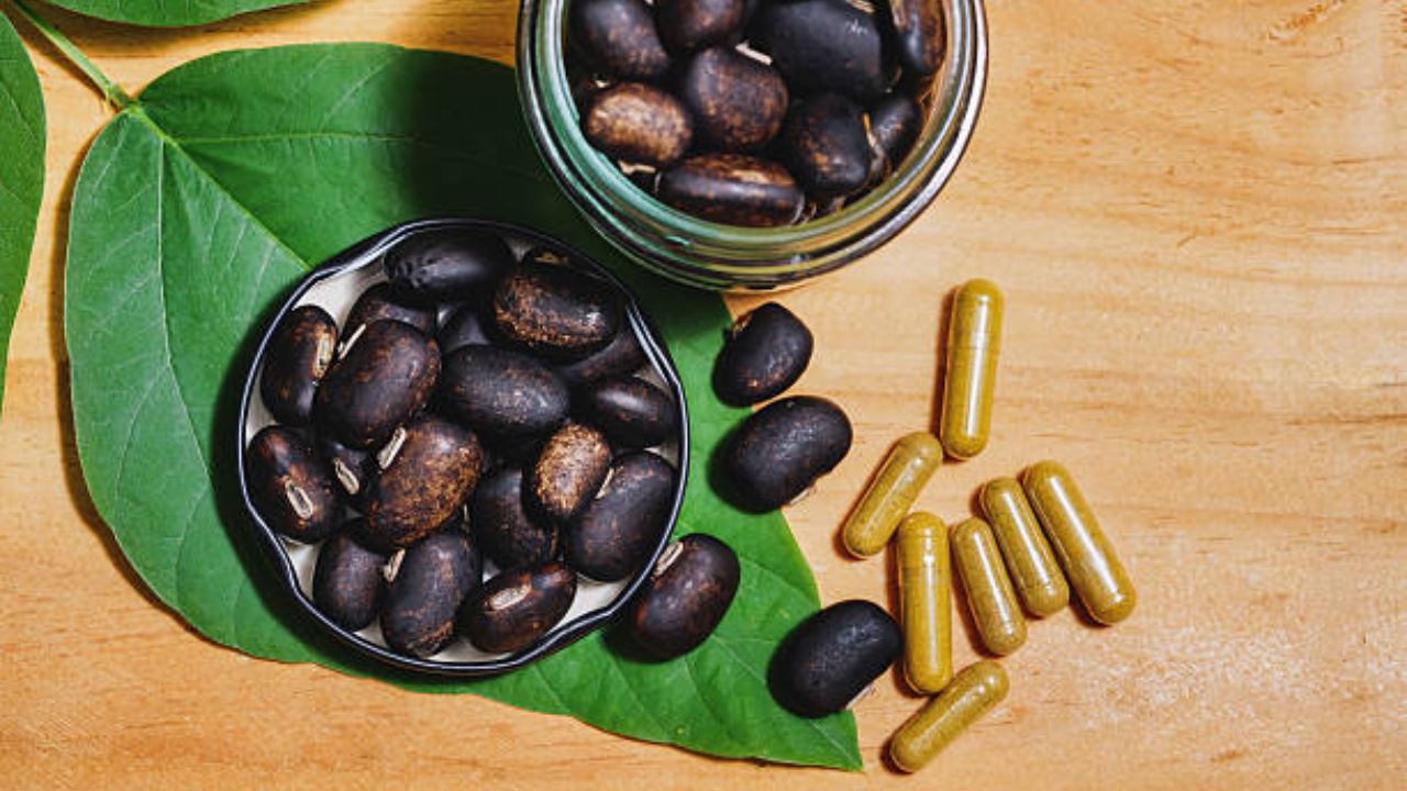 Kaunch Beej Benefits for male: Enhance Testosterone, Fertility and ...